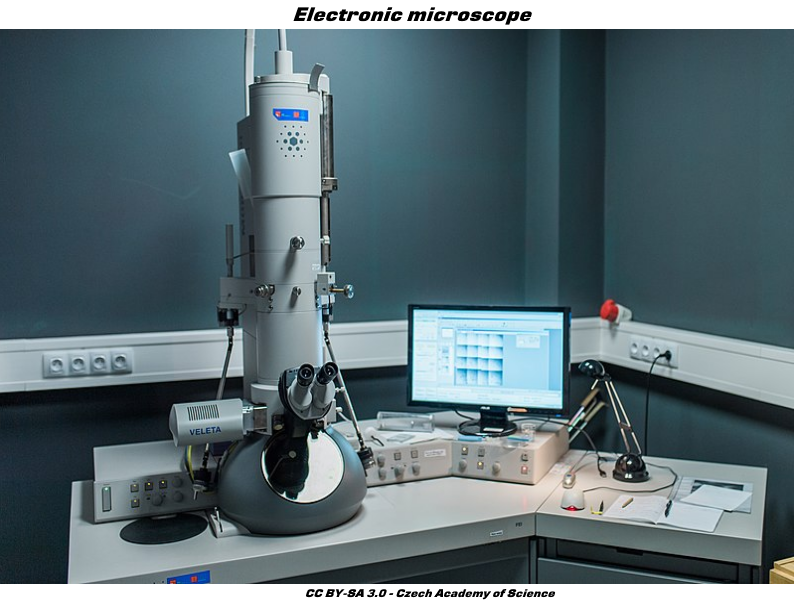 Microscope électronique | SOCIÉTÉ DE RECHERCHE ET DÉVELOPPEMENT