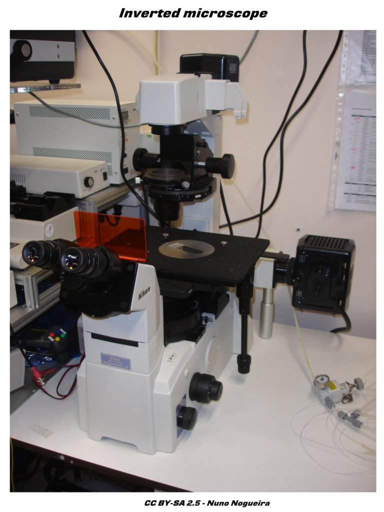 Microscope inversé | SOCIÉTÉ DE RECHERCHE ET DÉVELOPPEMENT