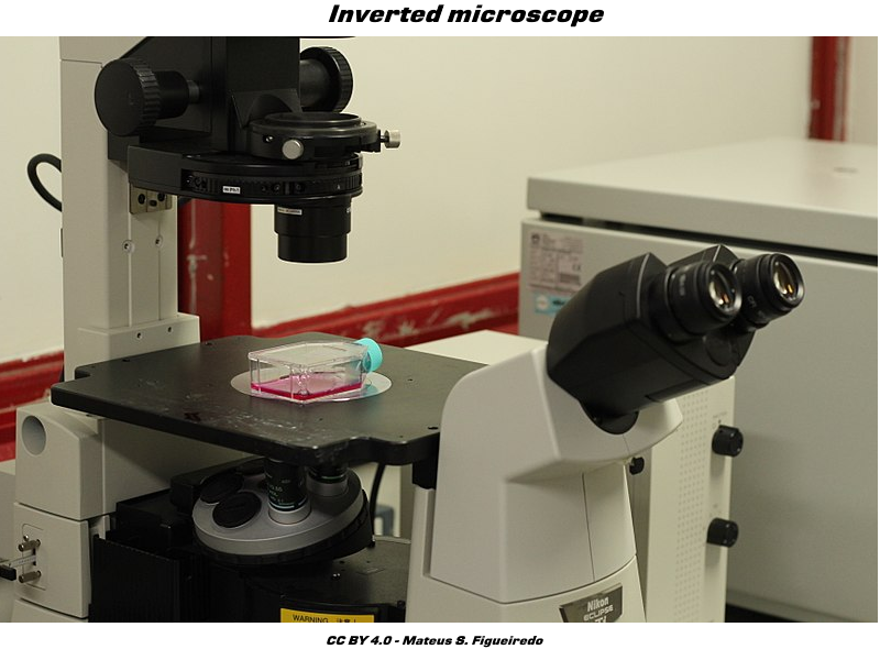 Microscope inversé | SOCIÉTÉ DE RECHERCHE ET DÉVELOPPEMENT